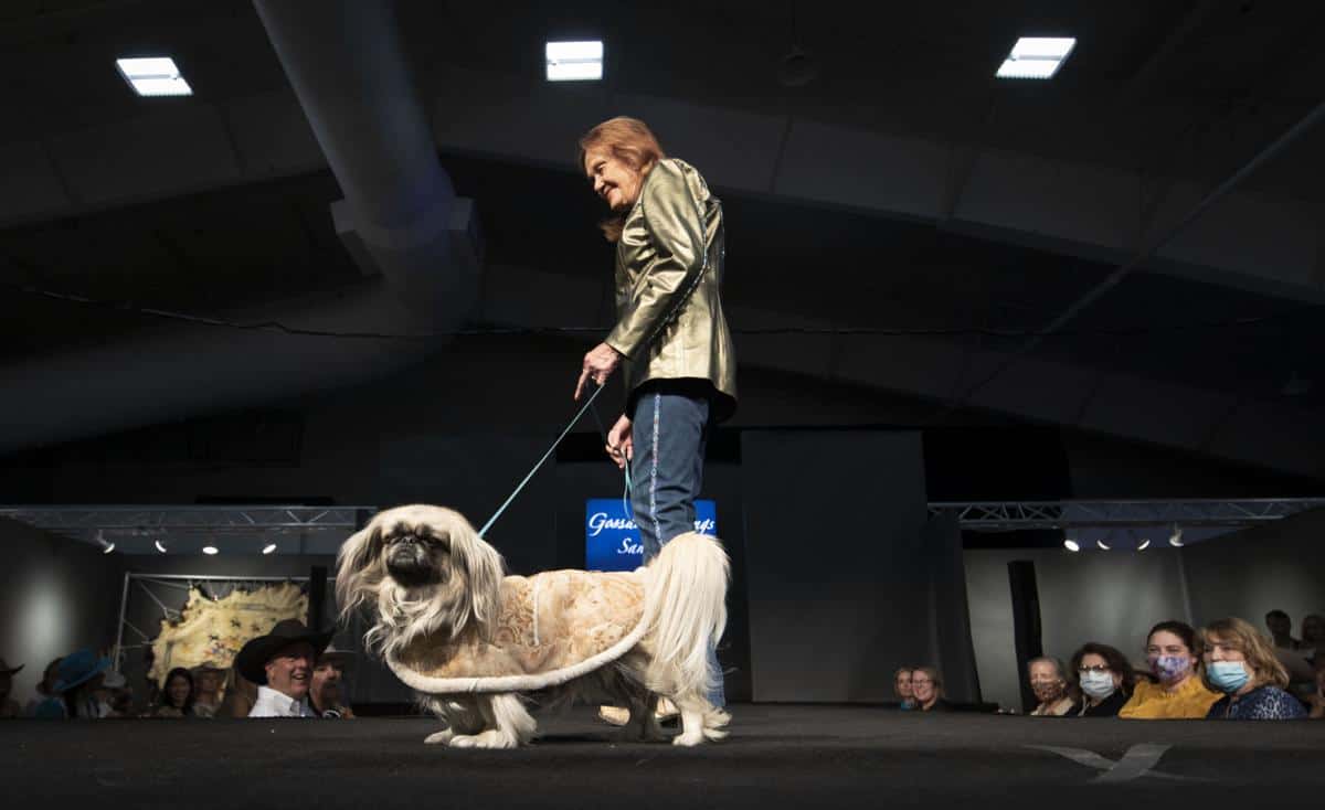 Western Design Conference Opens Our Eyes - Fall Arts Festival gathering ...